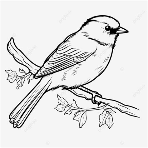 كتاب تلوين أو صفحة للأطفال طائر عيد الميلاد أبيض وأسود ناقلات التوضيح