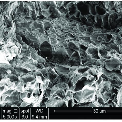Scanning Electron Micrographs Of Banana Peel Biochar A Before Rb5 Dye Download Scientific