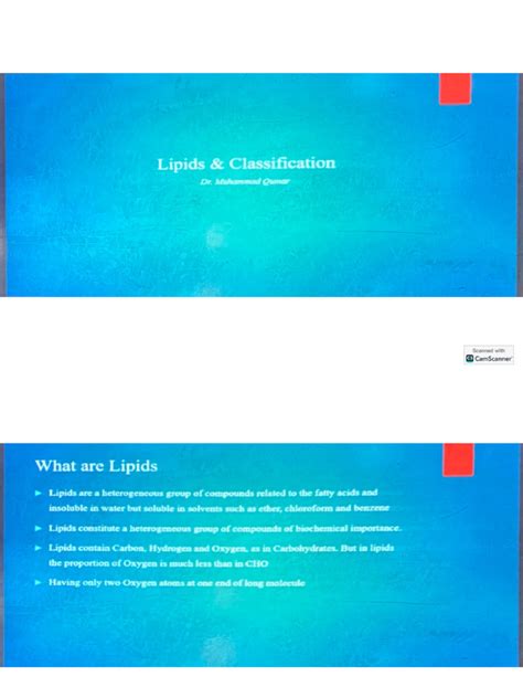 Lipid Classification Pdf
