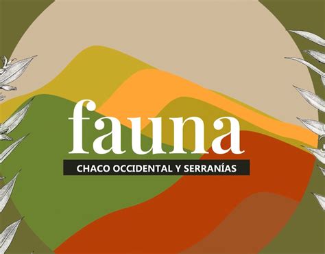 Ficha Animada Fauna Nativa Chaco Occidental On Behance