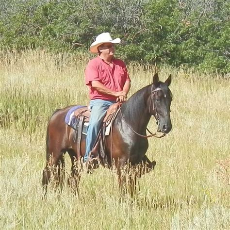 Todd Lindgren Archives