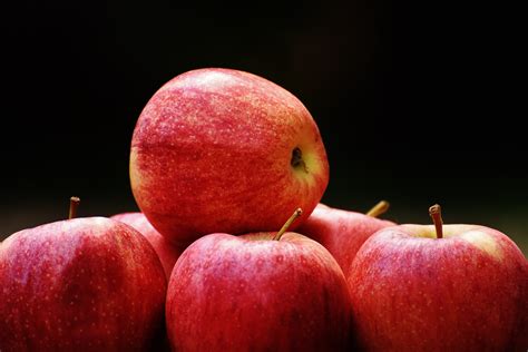 Free Photo Red Apple Fruit Apples Food Fresh Free Download Jooinn