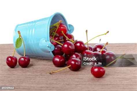 테이블 흰색 배경에 고립에 파란색 양동이에서 흩어져 붉은 익은 체리 열매를 닫습니다 0명에 대한 스톡 사진 및 기타 이미지 0명 가득 찬 과일 Istock
