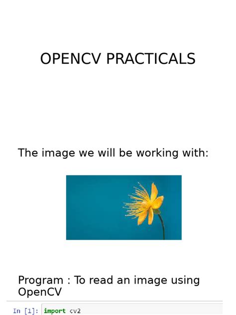 Class10 Ai Term Ii Practicals 1 Pdf