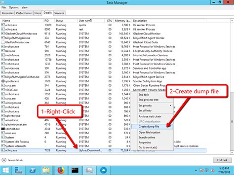 Capture Memory Dump When The Centrestack Application Is Slow And You