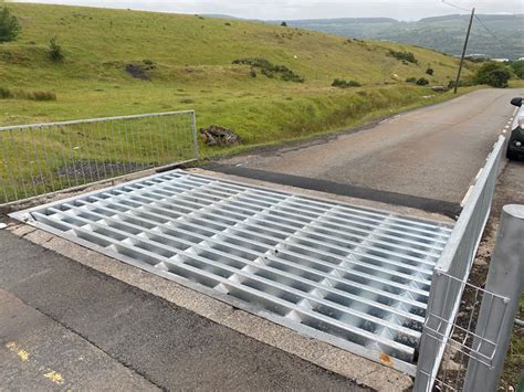 Cattle Grid 1