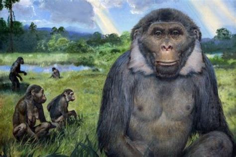 Ramapithecus Wikiwand