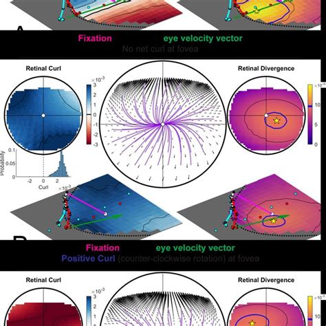 Retinal Optic Flow During Natural Locomtoion Retinal Flow Simulation Download Scientific