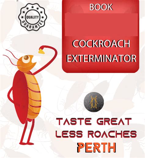 Cockroach Control Perth 0482074889 1 Best Cockroach Exterminator