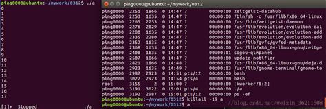 Linux下sigstop和sigtstp信号的副作用 Csdn博客