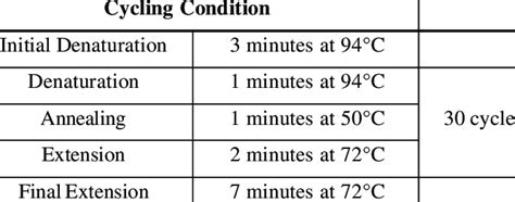 Shows Different Cycling Conditions And Temperatures Used During Pcr