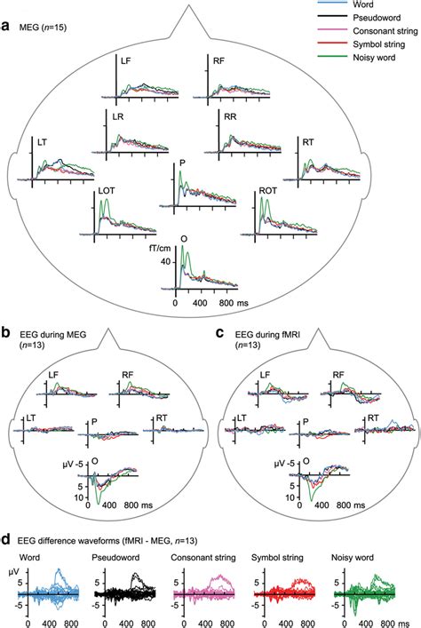 Group Averaged Meg And Eeg Sensor Level Signals A Meg Areal Mean Download Scientific Diagram