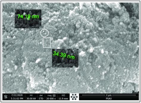 Field Emission Scanning Electron Microscope Fe Sem Micrograph Of The