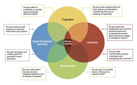 Promoting Digital Literacy For Adult Learners A Resource Guide