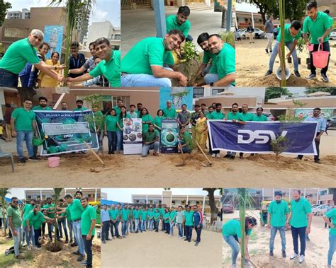 Ronak Shah On Linkedin Gogreensaveenvironmenttreeplantation