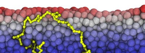 Rubbery Surfaces Of Glassy Polymers Research Communities By Springer Nature