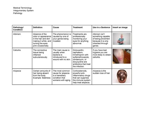 Med Term Integumentary Pathology Assignment Integumentary System