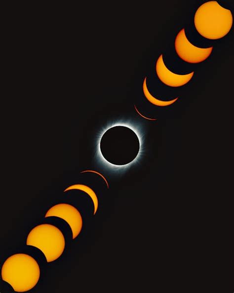 1000 Gambar Foto Pexels · Foto Stok Gratis