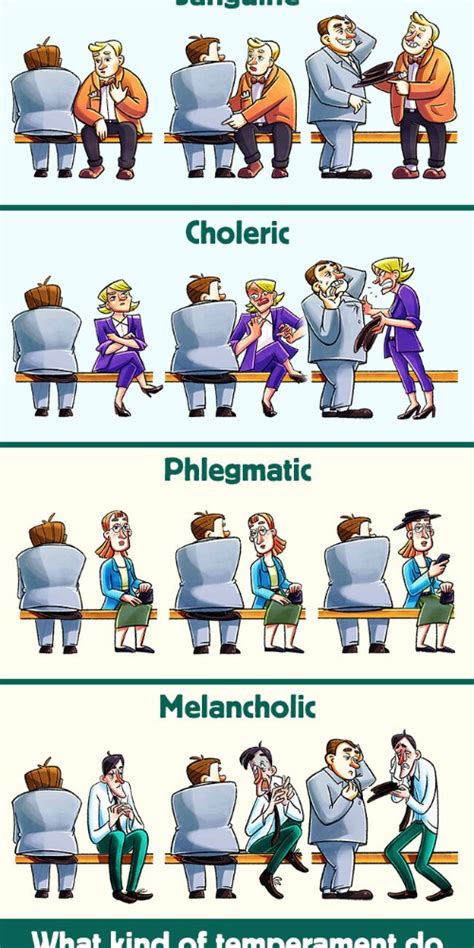 Different Types Of Temperament Explained Artofit
