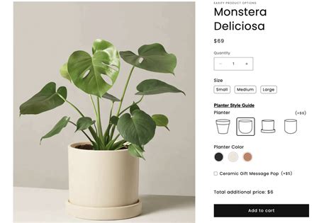 Shopify Product Variants 101 Everything You Need To Know