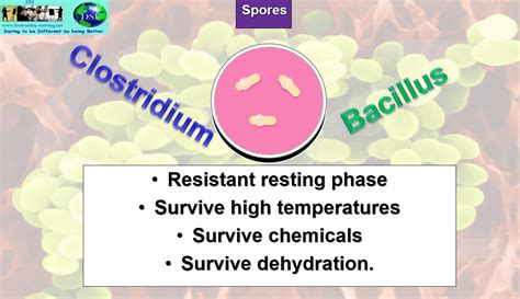Spores And Toxins Of Bacteria Food Safety Training