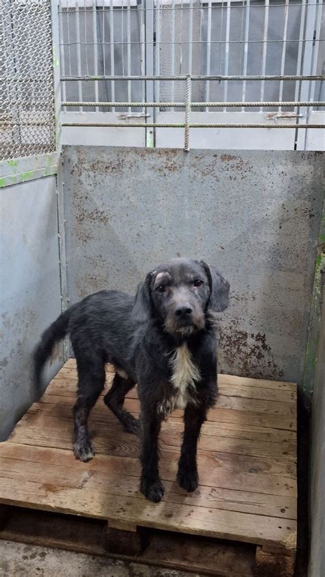 Love And Care For All Чарли е душа на философ естествоизпитател и авантюрист в тялото на