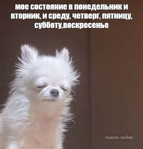 Мем мое состояние в понедельник и вторник и среду четверг пятницу субботу воскресенье