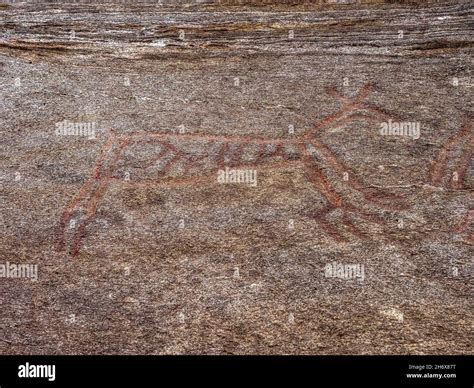 Art Rupestre Préhistorique à Bogge Pétroglyphes Entre Eidsvåg Et Eresfjord More Og Romsdal