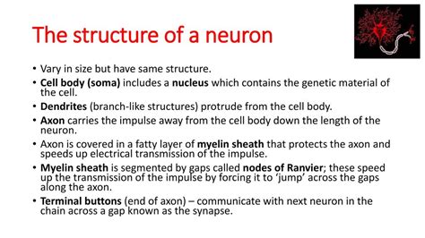 Homework Read And Complete All Sections On Pages Ppt Download