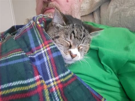 Small Business Cat North River Geographic Systems Inc