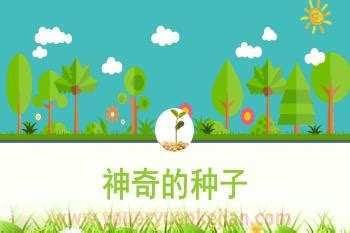 中班科学课件PPT神奇的种子PPT课件图片 幼儿园课件网