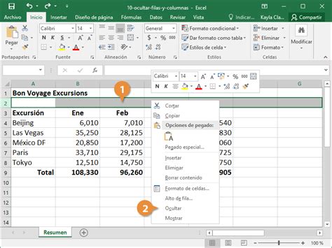 Como Ocultar Y Esconder Columnas Celdas Y Filas En Excel