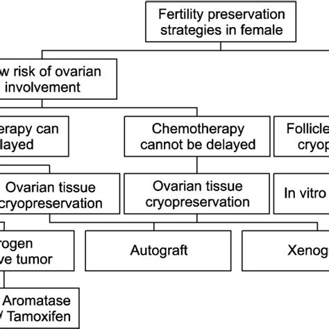Algorithm Summarizing Strategies For The Preservation Of Fertility In