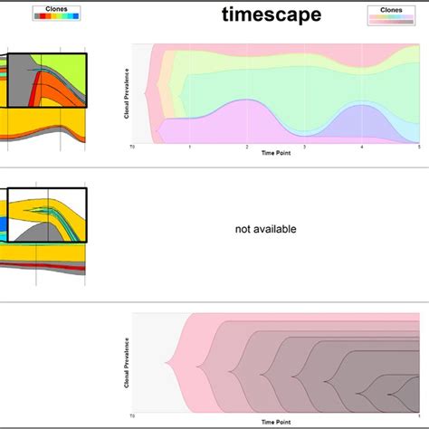 Visualization Of Clonal Evolution Using Fish Plots Comparing The