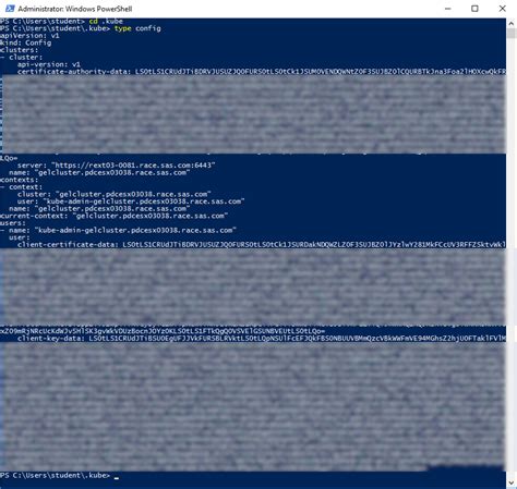 Install And Use The Sas Viya Cli On Windows