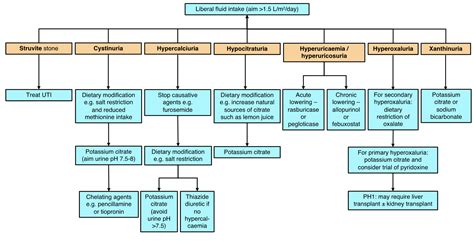 Nephrolithiasis Andor Nephrocalcinosis Management And Evaluation 973 Nhsggc