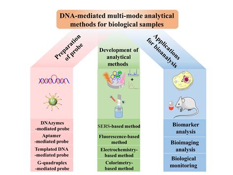 Recent Advances In The Dna Mediated Multi Mode Analytical Methods For