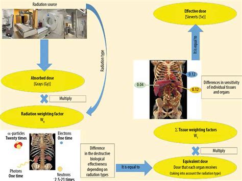 Summary Of Radiation Dose Management And Optimization Comparison Of Radiation Protection