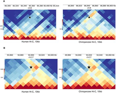 Examples Of Dc And Non Dc Interactions A Pygenometracks Plots 84 Of Download Scientific
