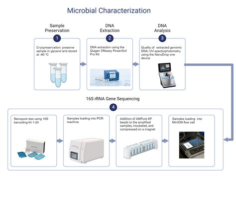 Microbial Characterization Workflow Sample Preparation Storage