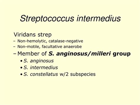 Ppt Morning Report Powerpoint Presentation Free Download Id682256