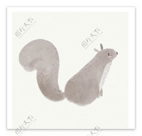 卡通松鼠图片素材 编号22549931 图行天下