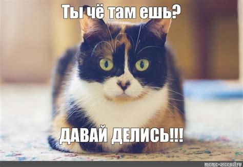 Создать мем сливки шоу куки сливки шоу кот куки Картинки Meme