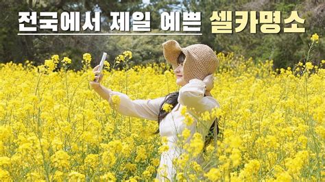 유채꽃 다 져버린 줄 알았지 부안은 지금 유채꽃 만개💛 ㅣ 부안 수성당 유채꽃 실시간 Youtube