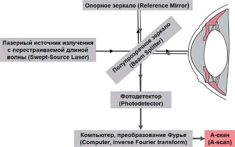 Schematic Diagram Of Swept Source Optical Coherence Tomography