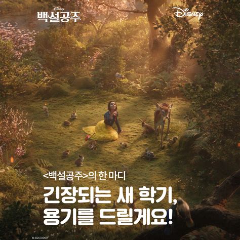 디즈니코리아 ⠀ 월트 디즈니 월드에서 모험이 가득한 애니멀 킹덤을 만나볼까요 테마의 어트랙션을 타고 마법의 세계로 떠나기도 하고 앱콧의 우주선 라운지에서는 마치