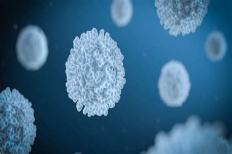 Lökosit Eritrosit Nedir Güncel Oku