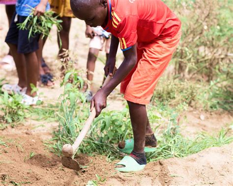 Farming Tools And Seeds Tomorrow Clubs International