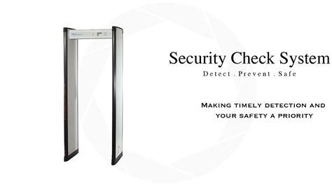 Security Check System Frontier Security Singapore
