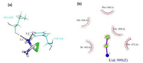 A Shows Pymol View Of Cis Platin Hsa Complex Hydrogen Bonding Download Scientific Diagram